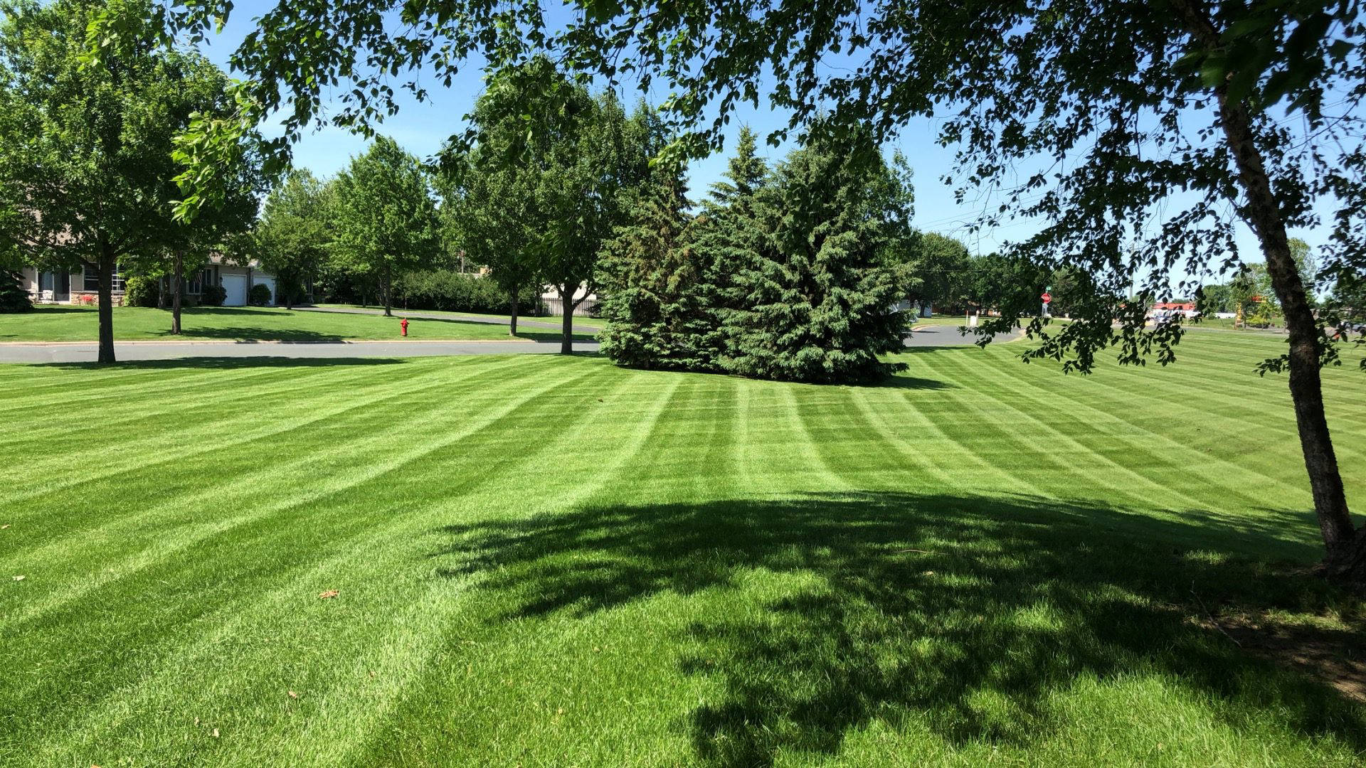 Grant's Lawn Care | Professional Lawn Services in Etowah County, AL